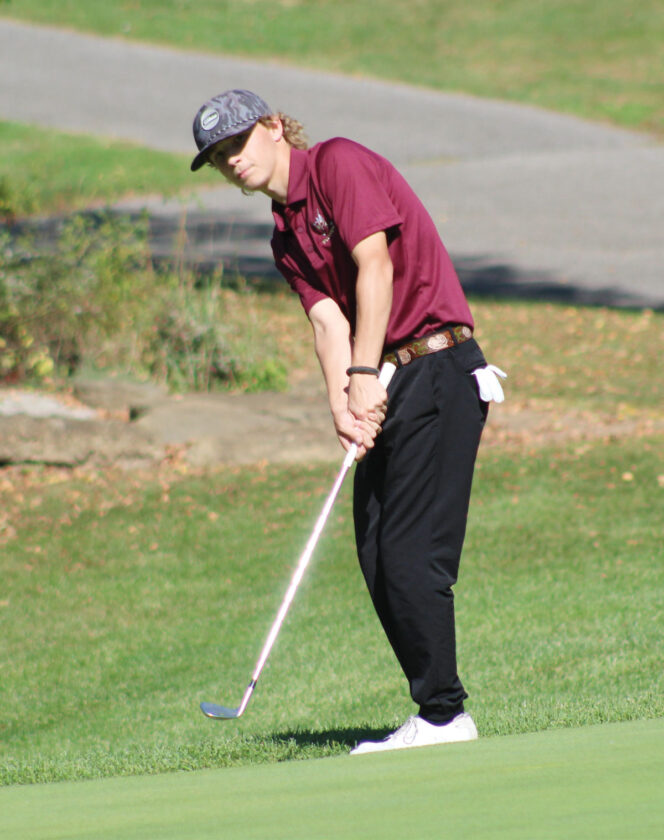 Mid-Ohio Valley golfers compete in state tournament | News, Sports ...